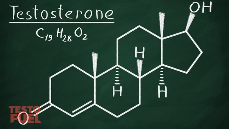 Sleep and Testosterone Levels - TestoFuel Blog