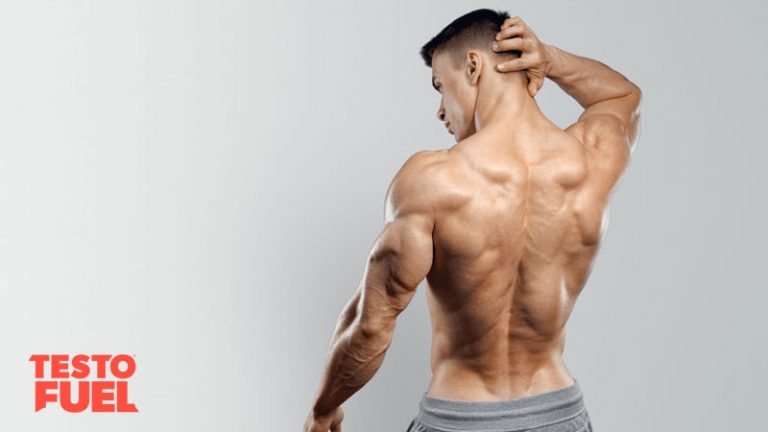 Normal Estrogen Levels for Males: Optimizing Hormonal Health ...